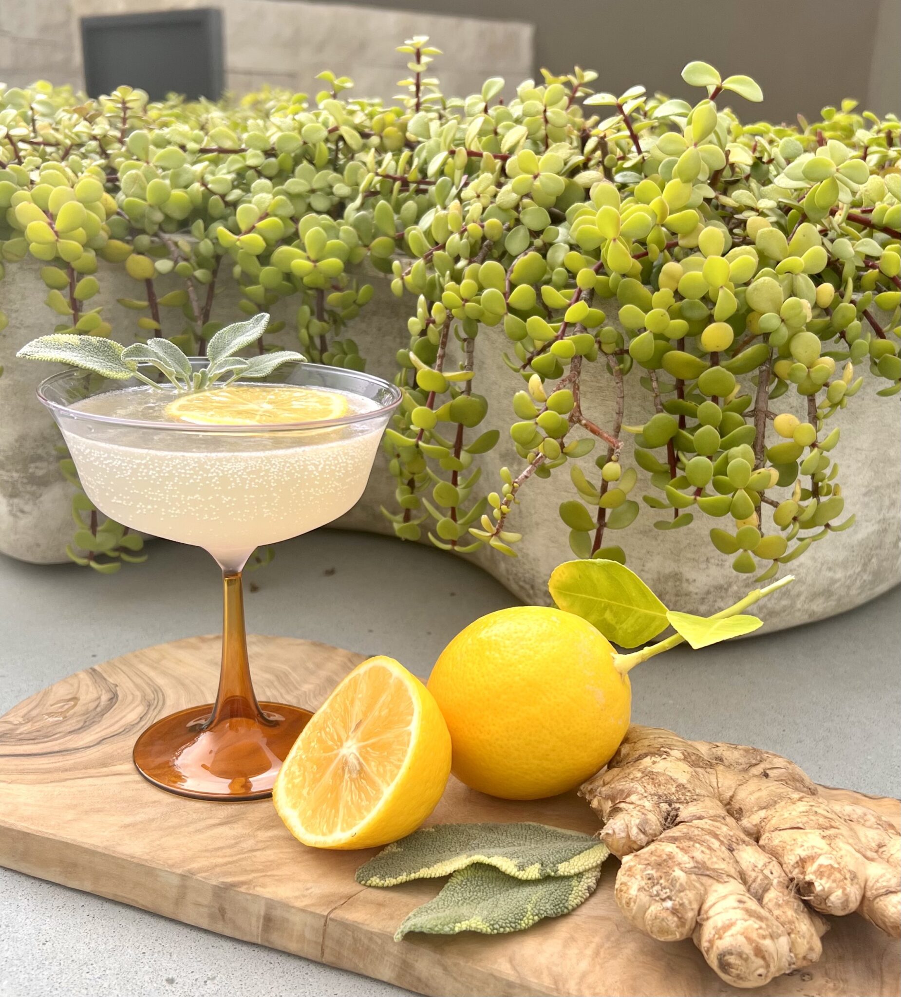 Renee’s Table: Ginger Sage Limoncello Cocktail Recipe – Renee Parsons